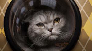 SciFi4Me.com – Delivering the Multiverse Since 2009